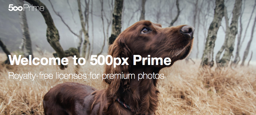 500px Prime : Plateforme de vente de photos en version finale - WebLife